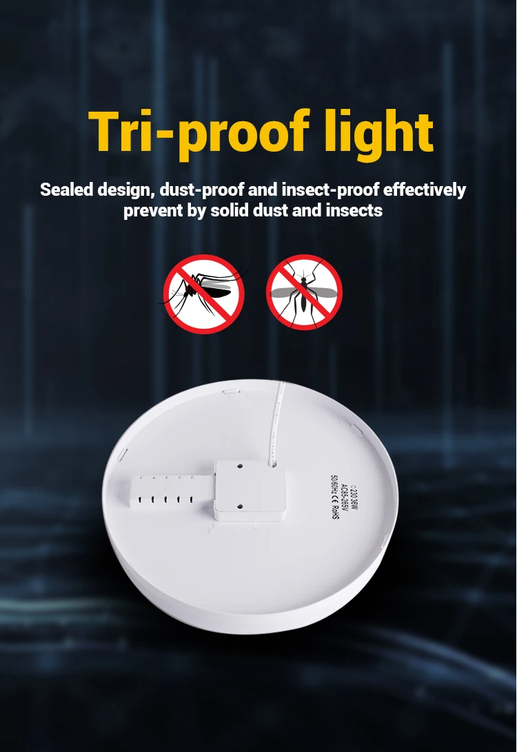 Smart Outdoor Balcony Courtyard Lighting Electric Ac85-265v Ceilling ...