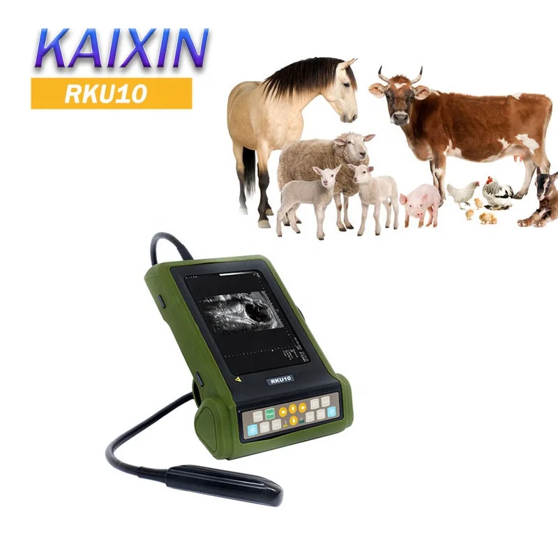 Portable Veterinary Ultrasound Machine Scanner RKU10 Kaixin Veterinary ...