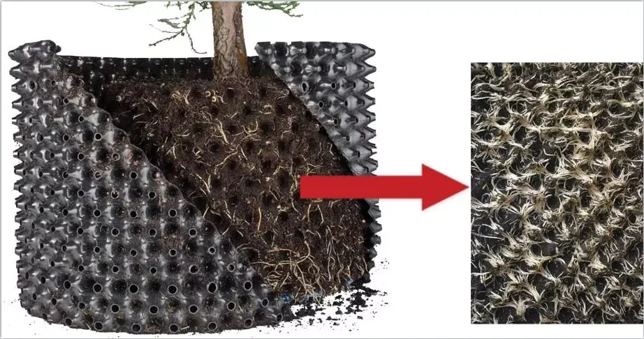 Plant Root Control Propagation Trainer Fast Root Grow Container Air ...