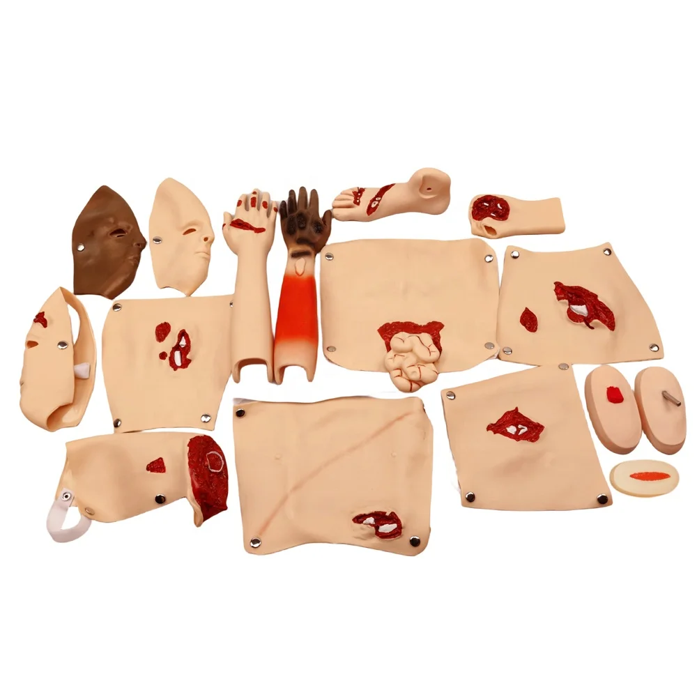 16 Trauma Models For Wound Nursing Training,Trauma Accessories Model ...