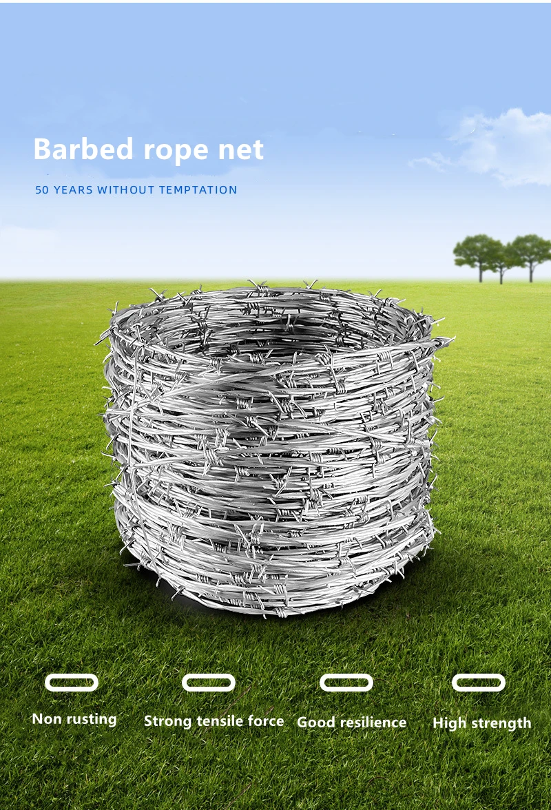 Factory Direct Sale 0.2mm-0.8mm Thick Galvanized Iron Wire Barbed Razor ...