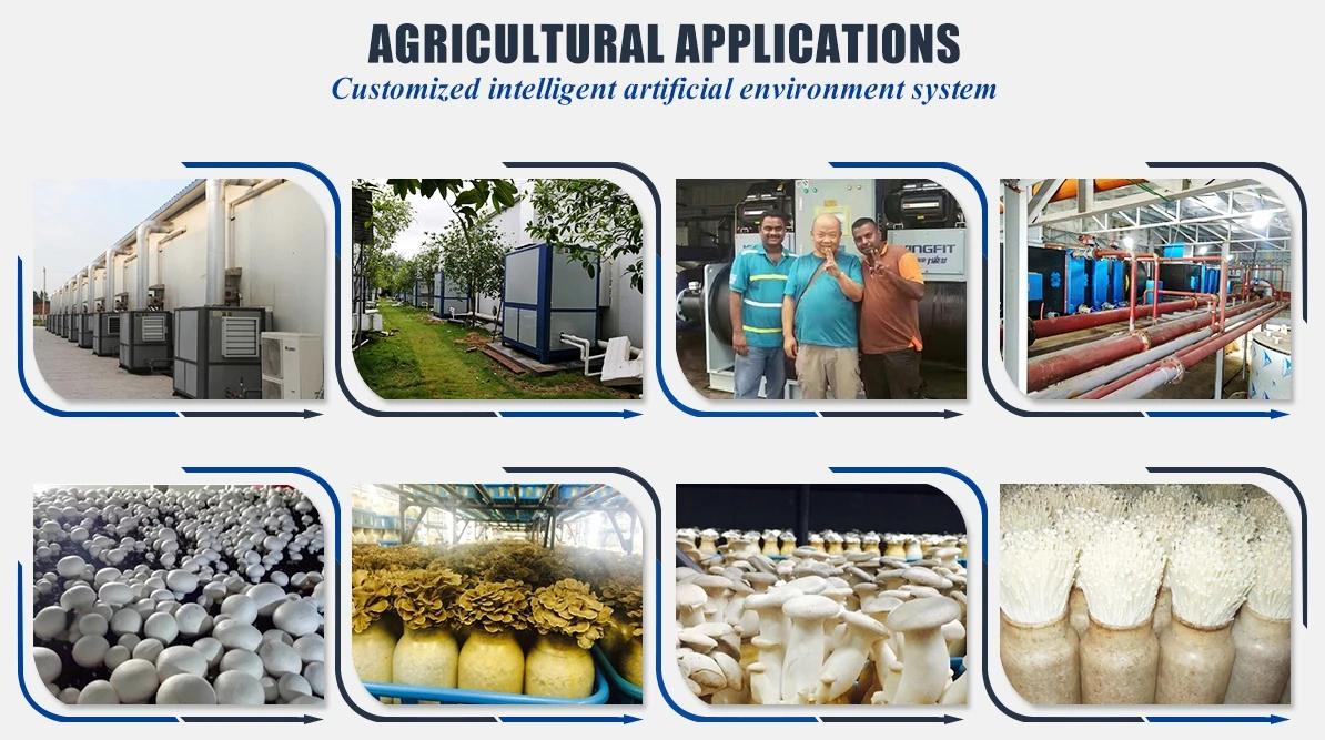 Automatic Growing Machine Mushroom Grow Rooms - Buy Mushroom Grow Rooms ...