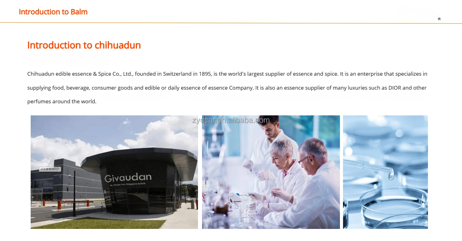 Car on-Board Fragrance System for BMW - Aromatherapy