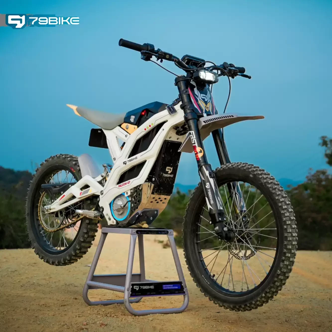 2025 79 Bike Pro off-Road Electric Dirt Bikes - 55PMH Brushless Motor