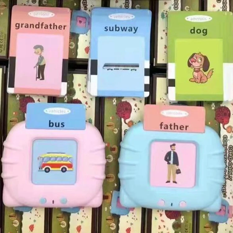 Preschool Learning Toys Flash Cards Reading Game Double Sided 224pcs ...