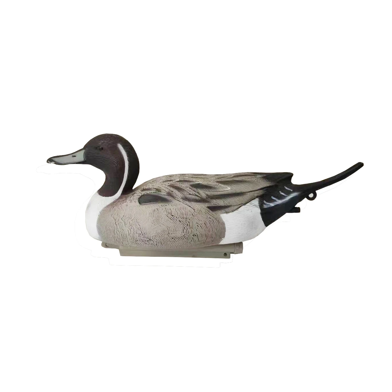 Outdoor Hunting Decoy Eva Pintail Duck Decoy Foldable Decoy - Buy ...