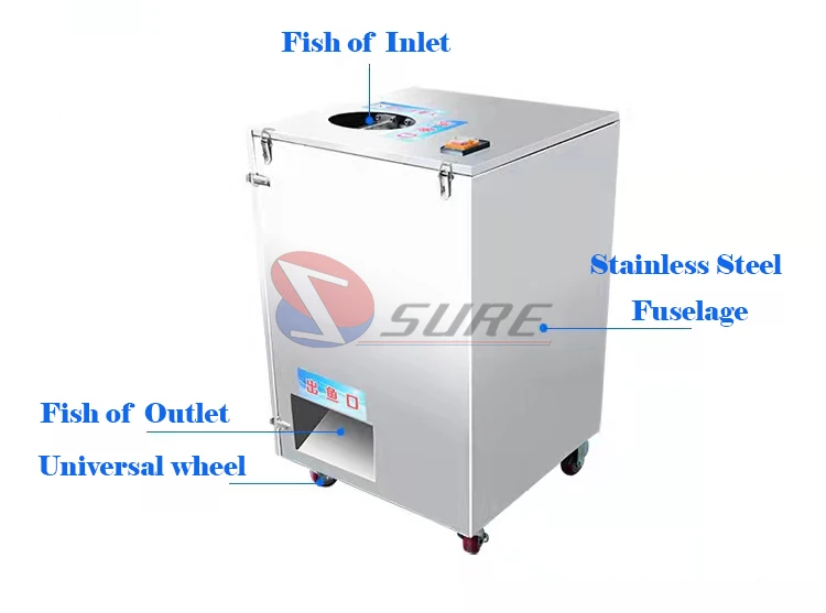Commercial Fish Killing Remove Scaler Cutting Machine Fish Killing ...