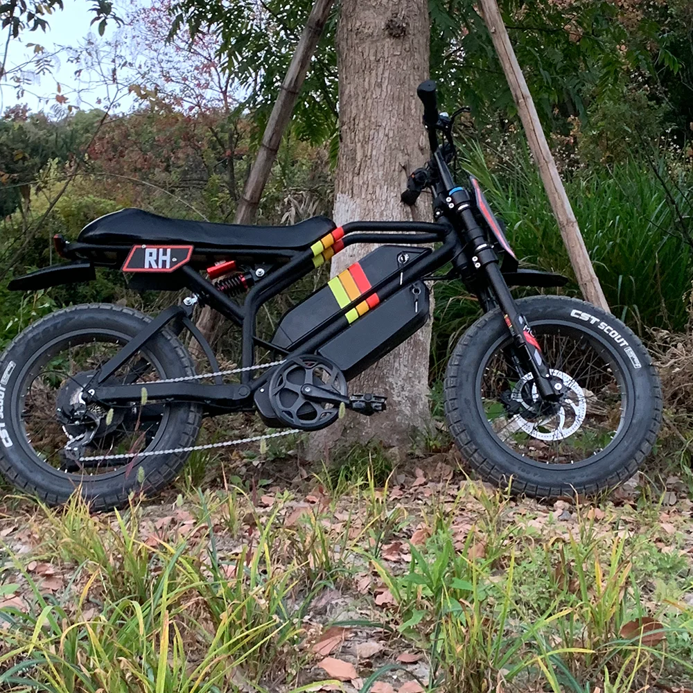 2024 Ebike Fat Bike Electric Hybrid Bike Double Battery 52V 1500W ...