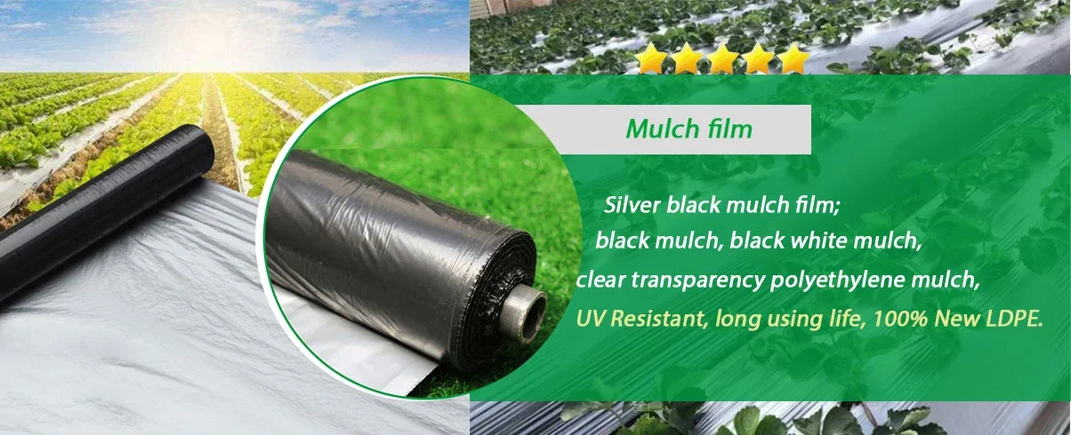 Mulch Film Agriculture Ground Cover Uv Resistant Mulching Film Plastic ...