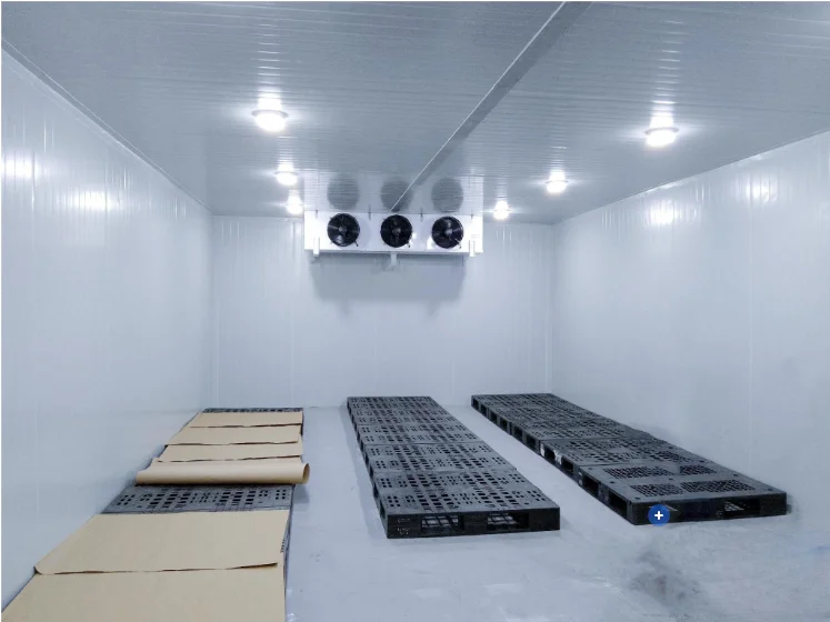 20ft Mobile Container Best Solar Power Cold Storage Room For Fish Meat ...