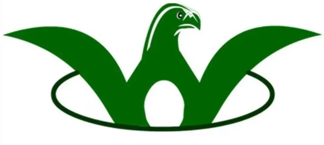 Company Overview - Wenzhou Xiwo New Materials Co., Ltd.