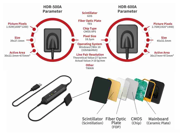 Hot Sale Oral Aps Cmos X-ray Intraoral Imaging System Good Price ...