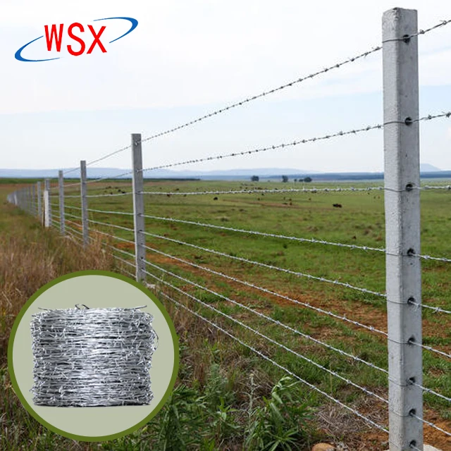 Galvanized Traditional Twist Security Wall Prison Anti-theft Barbed ...