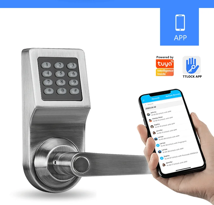 GOODUM Smart Gate with App Handle Electronic Security System Featuring ...