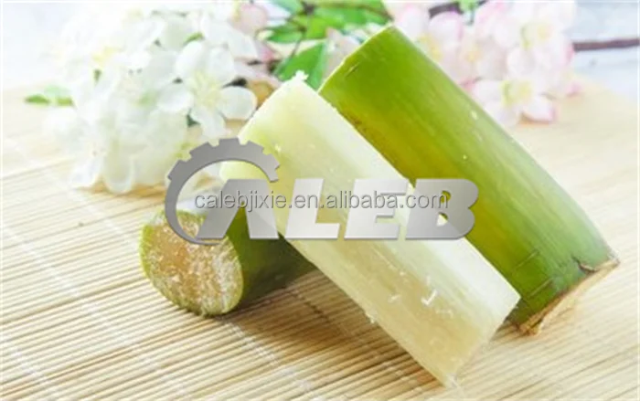 Sugarcane Peeling Machine Commercial Sugarcane Peeling Cutting Sugar ...