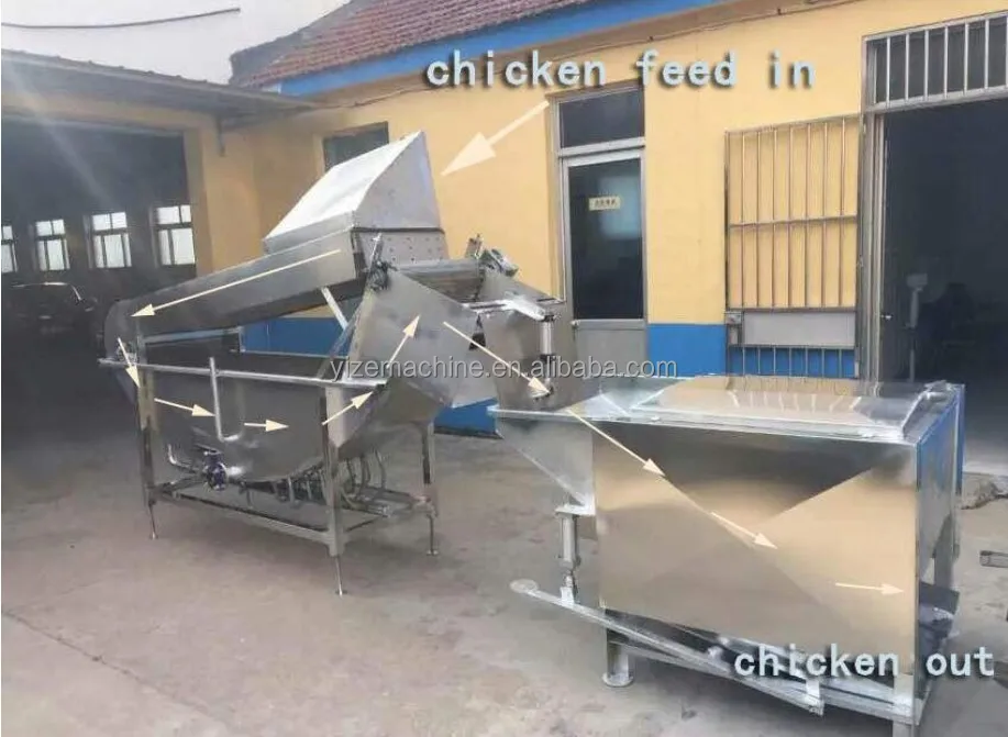 Efficient Poultry Slaughter Line - Feather Plucker & Scalder