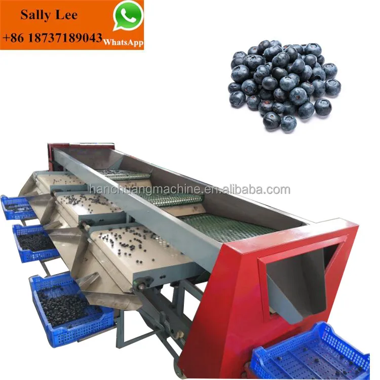 Industrial Blueberry Fruit Sorting and Grading Machine