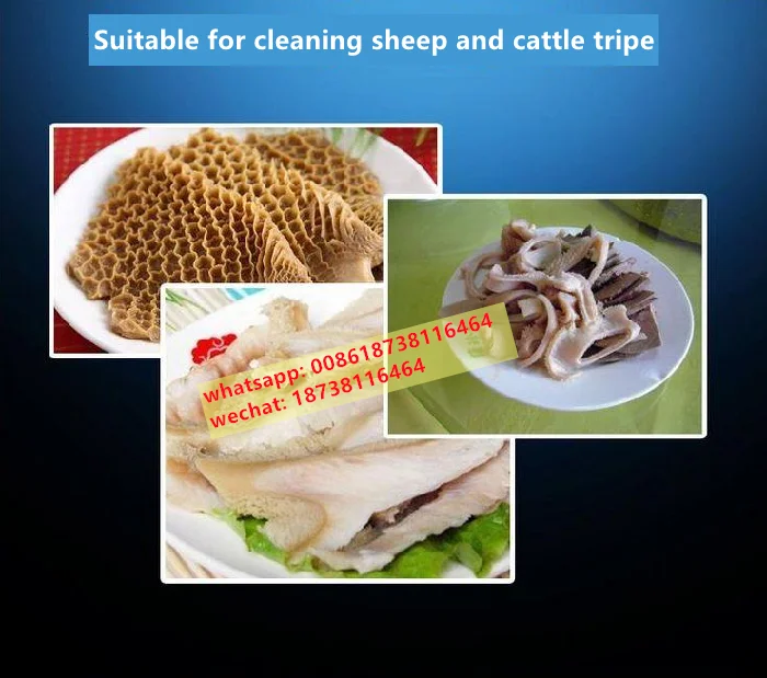 Deman Cow Pig Tripe Intestine Washing Machine - Clean & Efficient