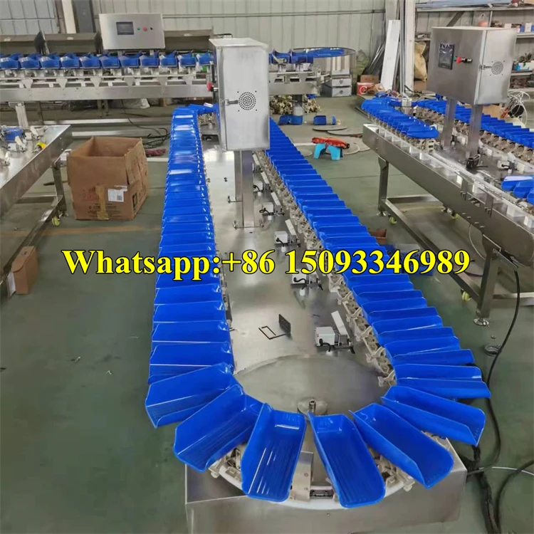 Efficient Sorting with Joconn’s Automatic Grading Machines