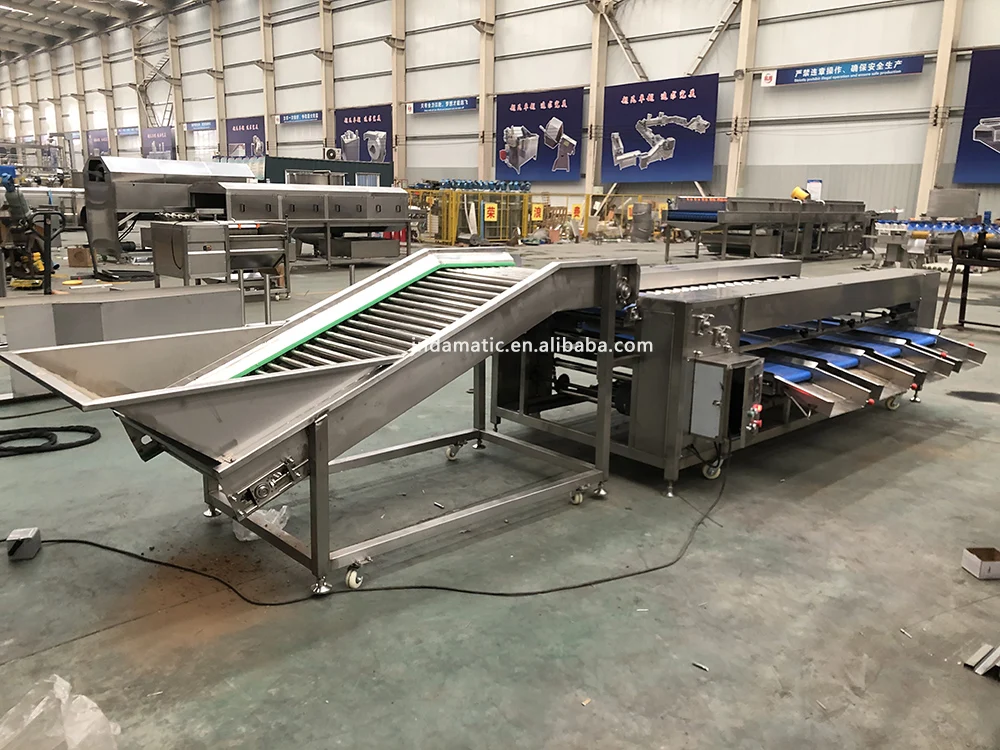 Damatic Grading Machine - Efficient Fruits & Veggies Sorter