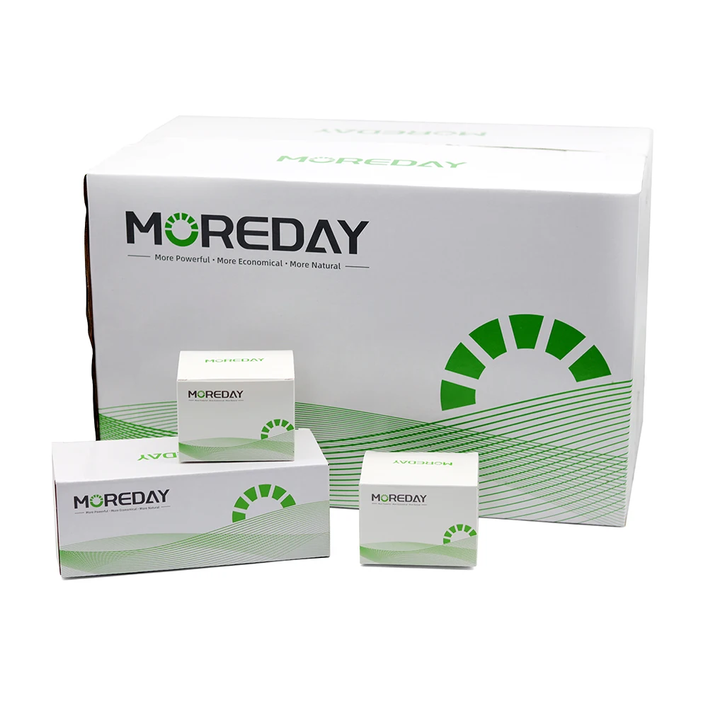 New Moreday Mdb1-63 Dpn Mcb 2p 6a 10a 16a 20a 25a 32a 40a 63a 220v Ac Mini Circuit Breaker Dpn ...