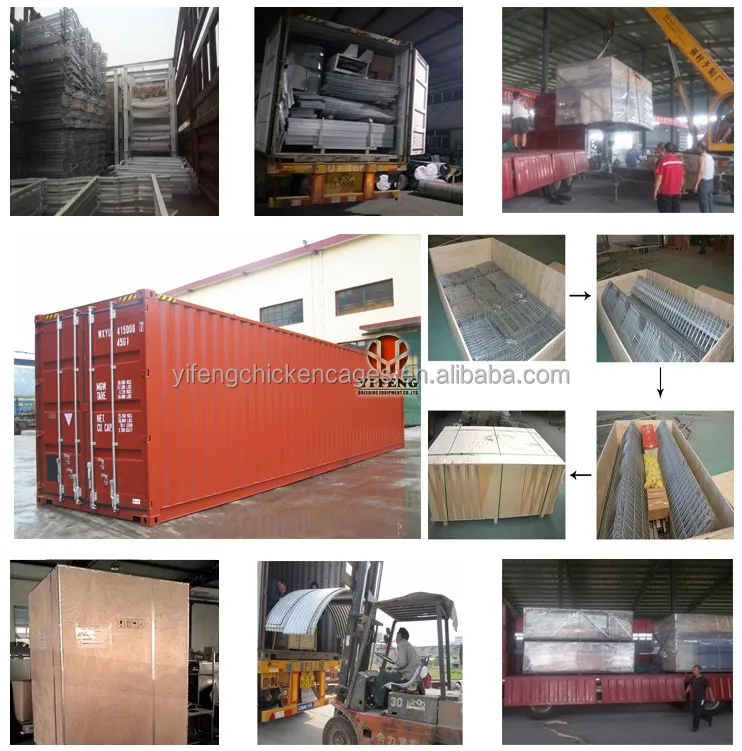 Good Price Automatic Poultry Farm A Type 5000 Birds Laying Hens Battery ...