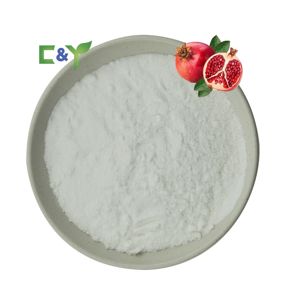 Premium Pomegranate Punicalagin Powder Certificate 40% Punicalagin ...