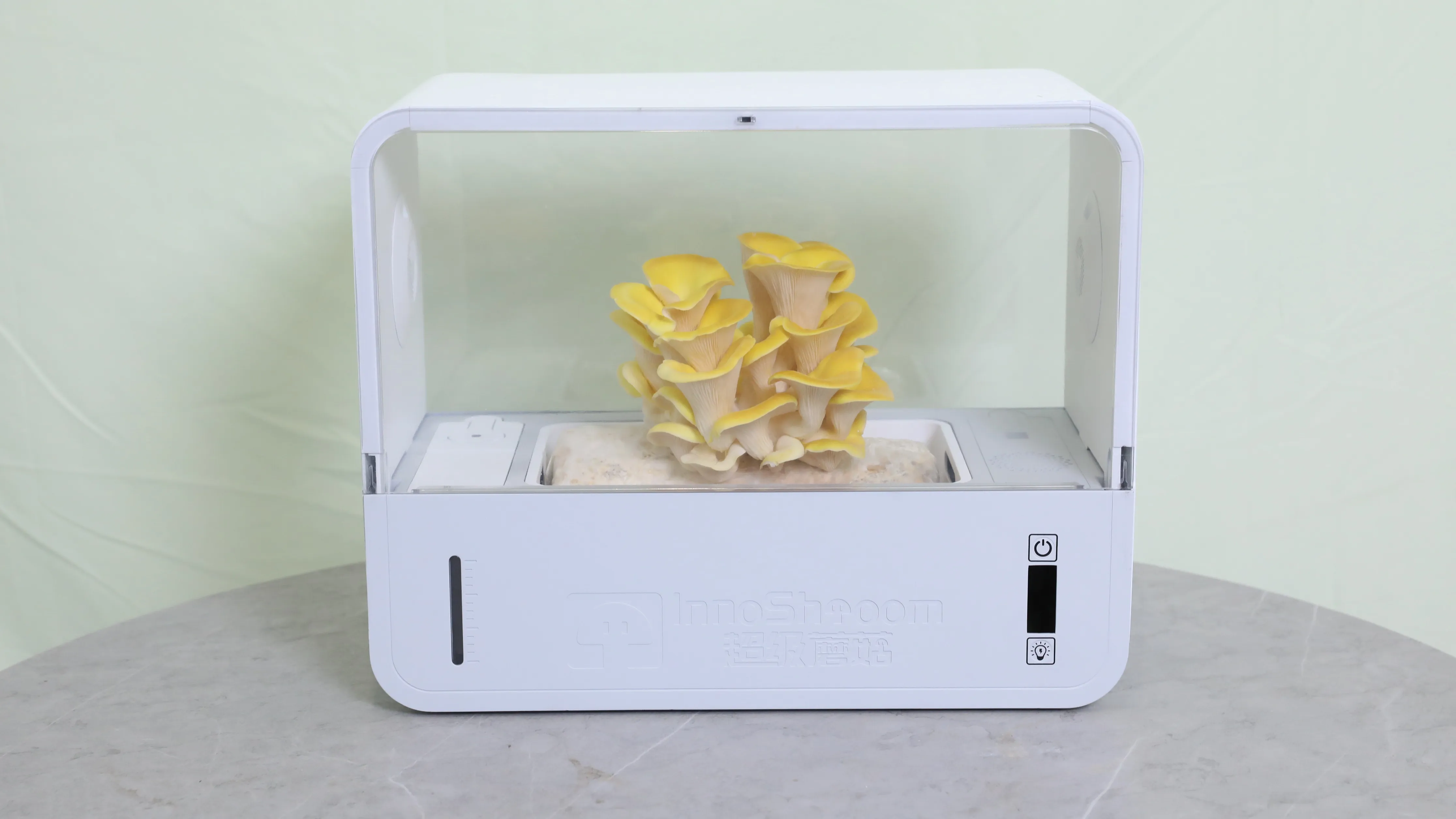 Mushroom Growing System With Abs Material - Buy Indoor Hydroponic ...