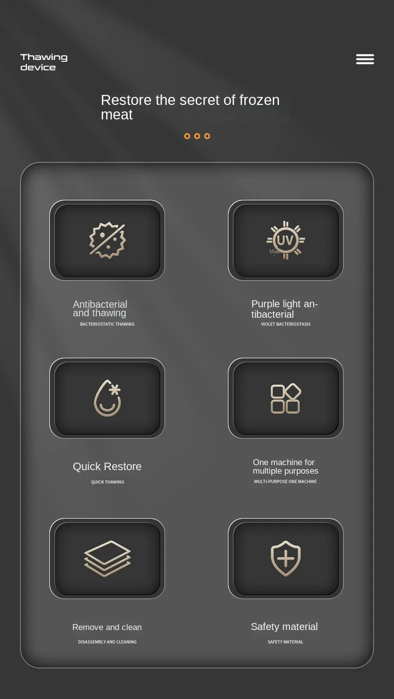 Kitchen Accessories Fast Defrosting Tray Rapid Frozen Food Meat Defrost ...