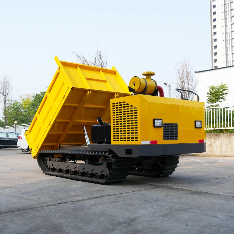 2 Ton & 3 Ton Crawler Dumper - High Load Moment & Customized Hydraulics