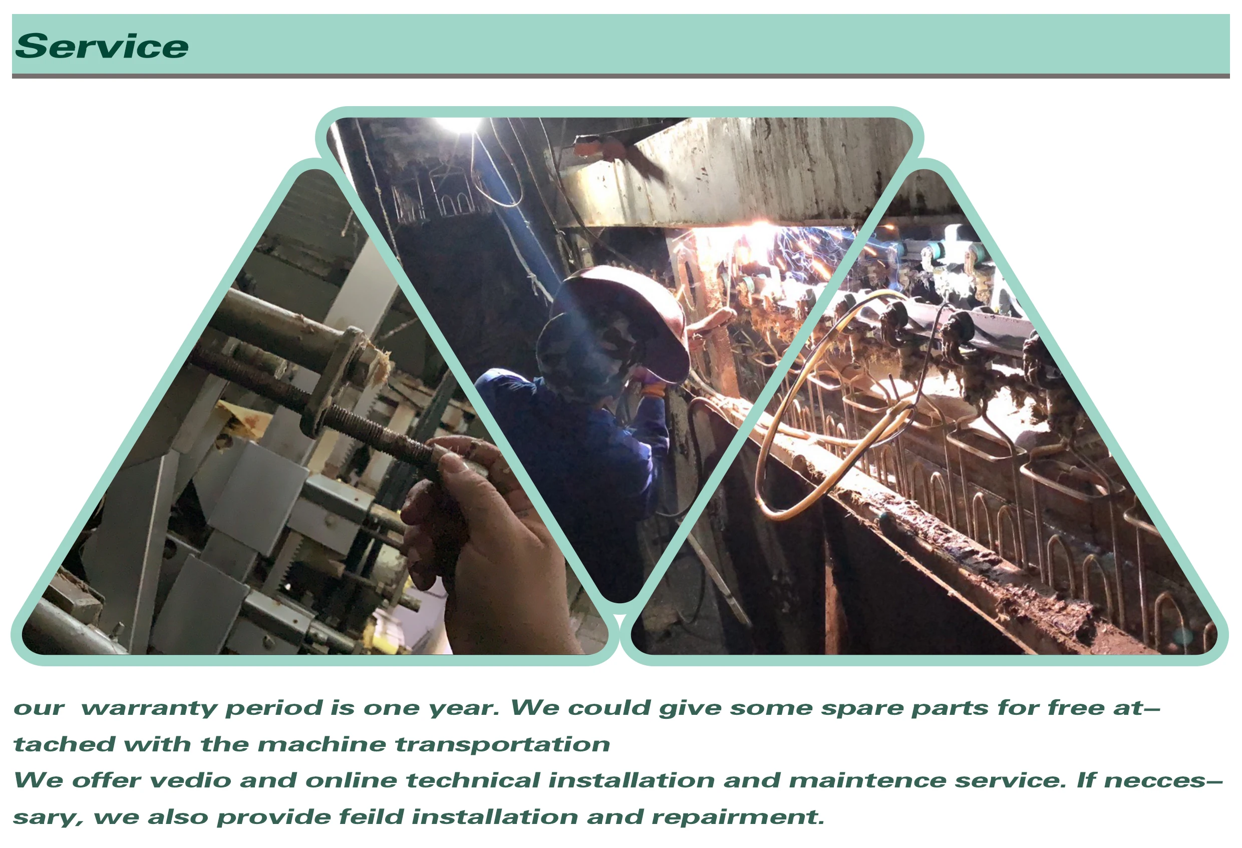 300 Chicken Automatic Scalding Plucking Machine - High Efficiency