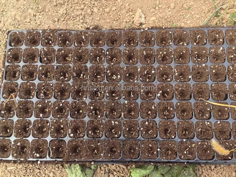 Automatic Seeds Sowing Machine for Seedling Plug Tray Seeder