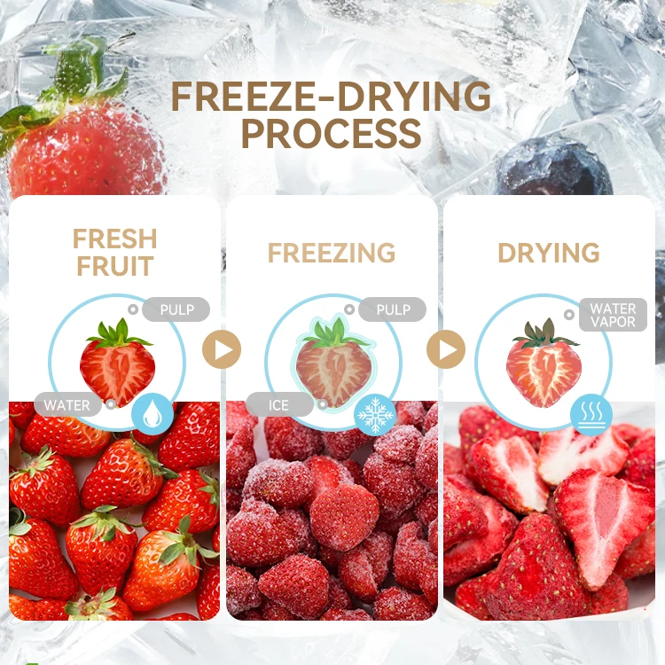 Effective food freeze drying machine vacuum system locks in freshness ...