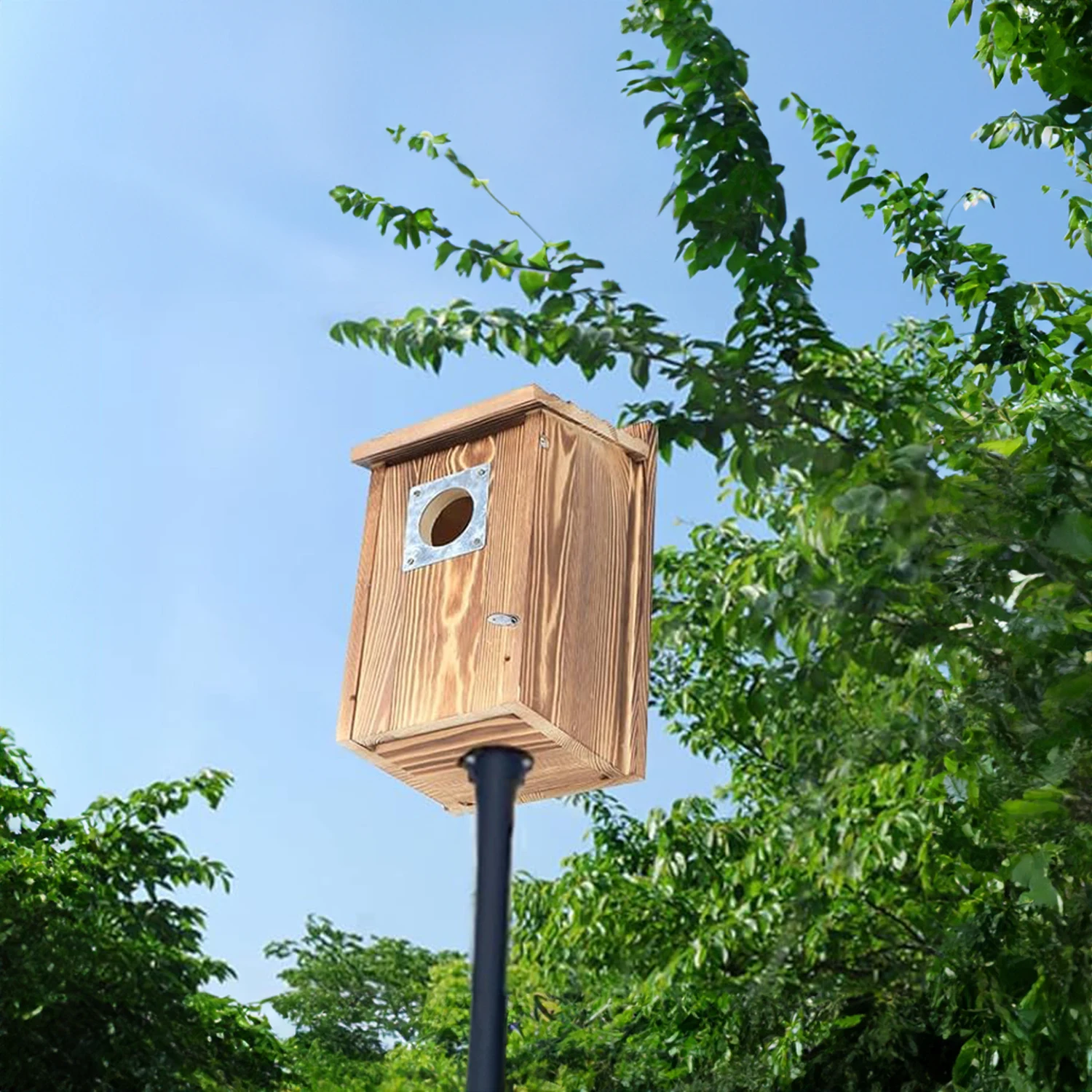 Wooden Nesting Boxes For Outside With Metal Predator Guard For Bluebird ...