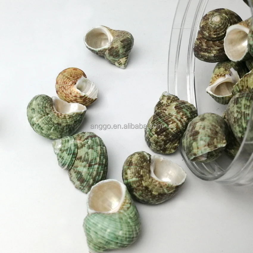 Wholesale Fish Tank Landscaping Hermit Crab Spare Shell Replacement ...