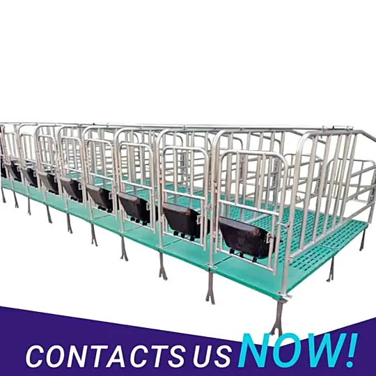Pig Breeding Equipment Galvanized Pig Sows Pregnant Gestation Stalls ...