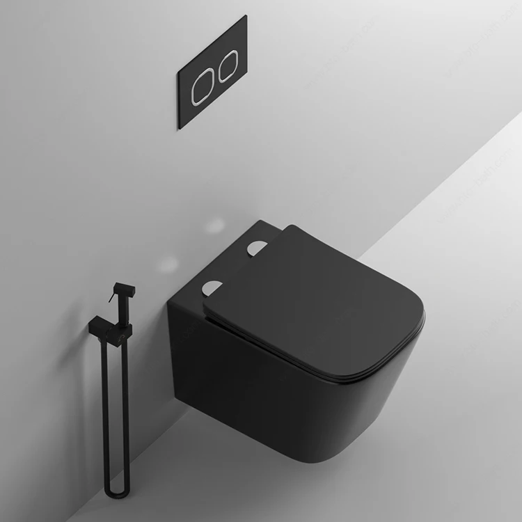 Bto Wallhung Toilet Concealed Tank Matte Black Color Luxury P-trap ...