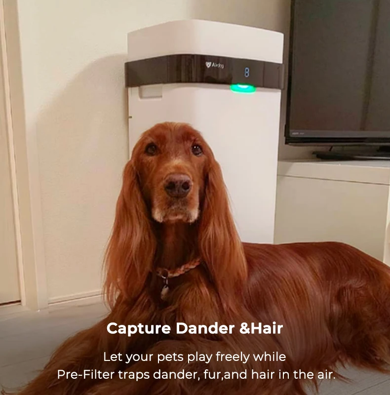Airdog Patent ETL Certificated Air Cleaning Home Air Purifier for Pet ...