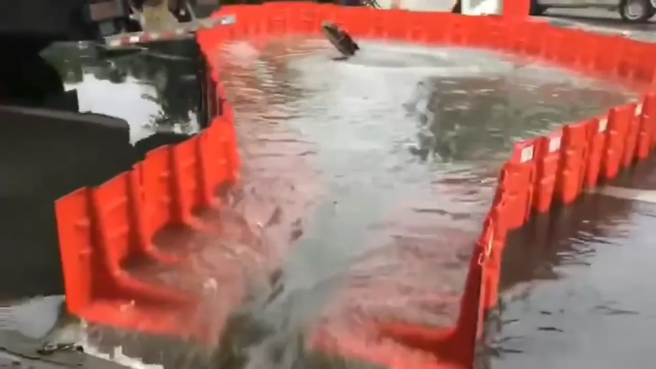 Abs Anti Flood Overflow Control Barrier Board Abs Flood Barrier Water Filled For Road - Buy Abs ...