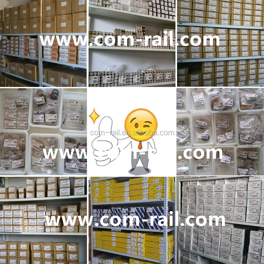 Original Diesel Fuel Injection Pump 5ws40254 A2c59513487 - Buy ...