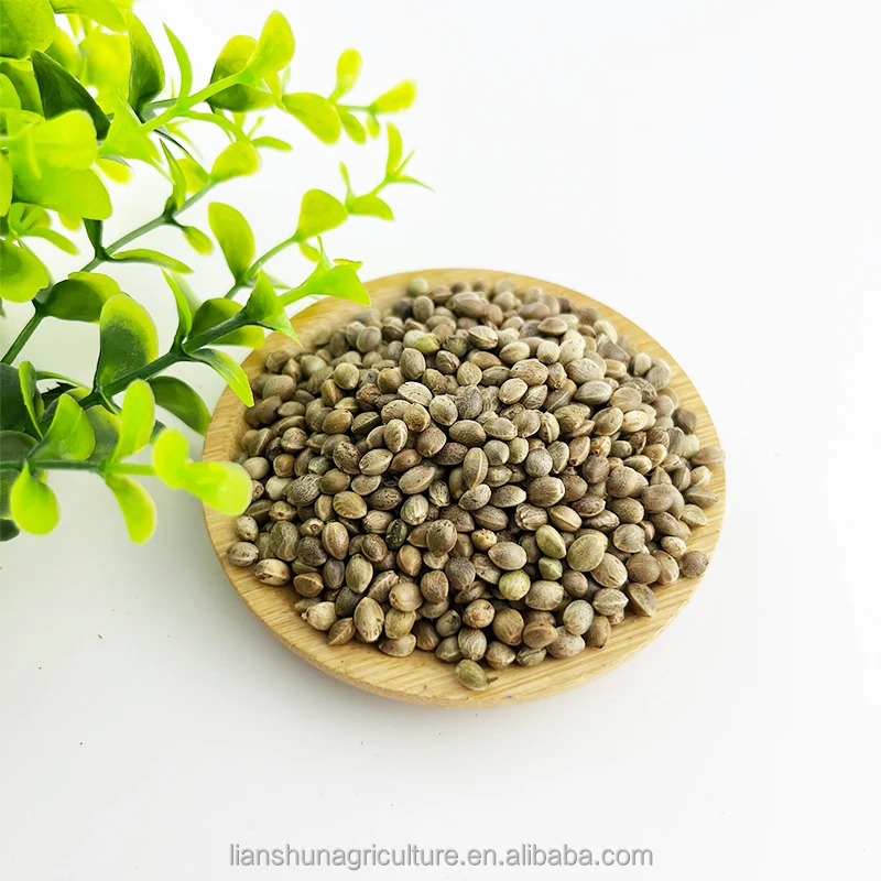 Wholesale Bulk Hemp Seed for Bird Feeding - Liangtian