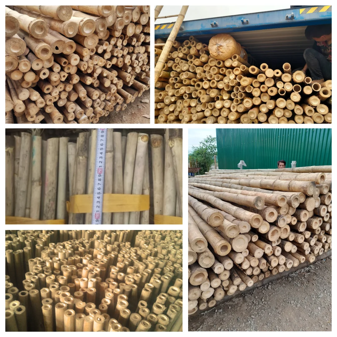 Customize Size Bamboo Pole Bamboo Canes for Fences Partitions Decor ...
