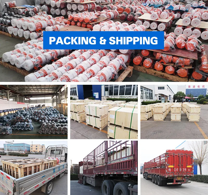 Mve Yzs Yzu Ybz 1kn 3kn 5kn 10kn 30kn 50kn 75kn 100kn 140kn Vibrator Motor For Vibrating Feeder ...