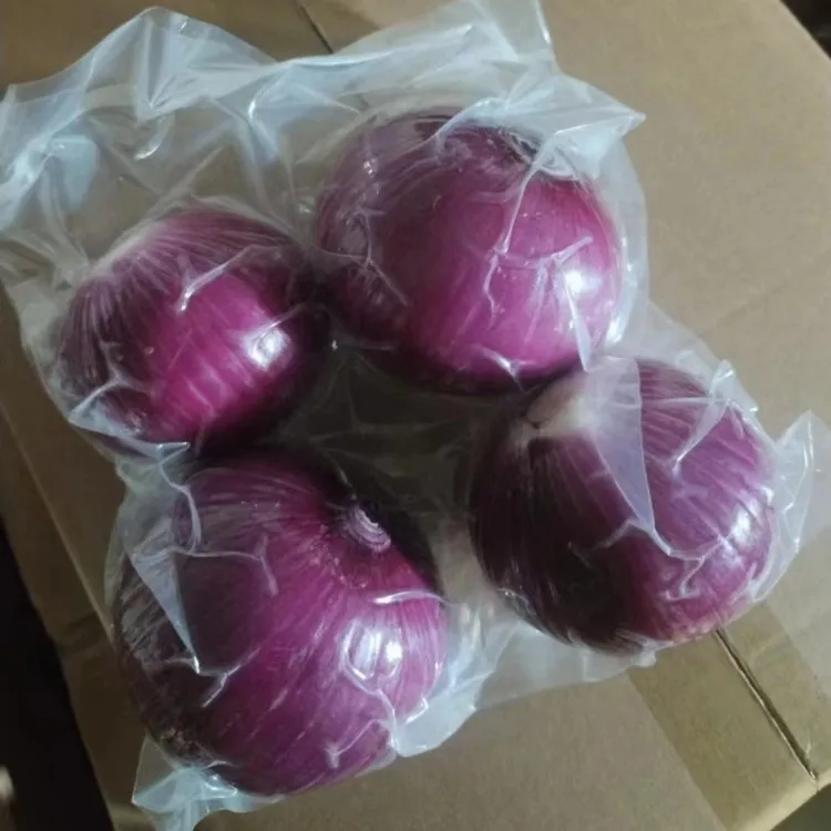 Fresh Red Onions from China - 10 KG Carton Export to Europe