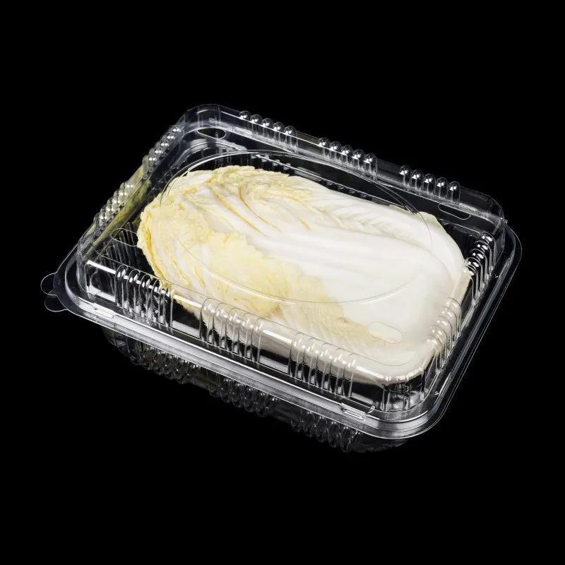 Transparent Plastic Clamshell Fruit Packaging Box