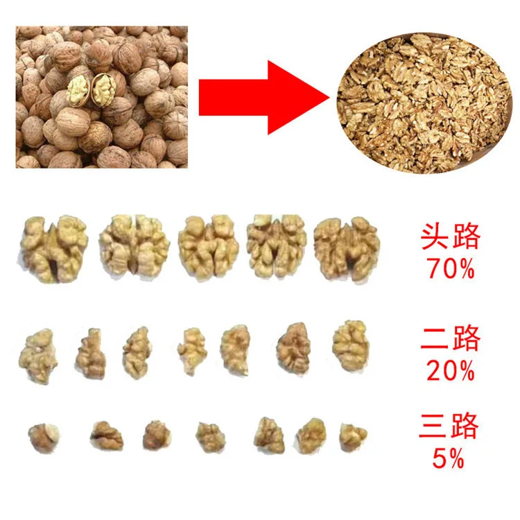 Hot Sell Macadamia Shelling Machine Walnut Breaking Shell Crushing ...