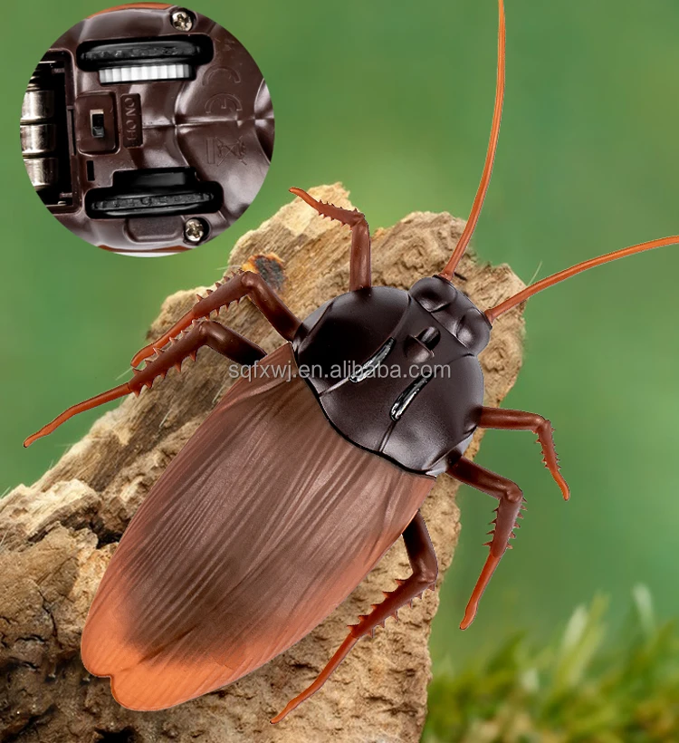 Kids Toys 2024 Rc Infrared Remote Control Beetle Insect Toy for Kids ...