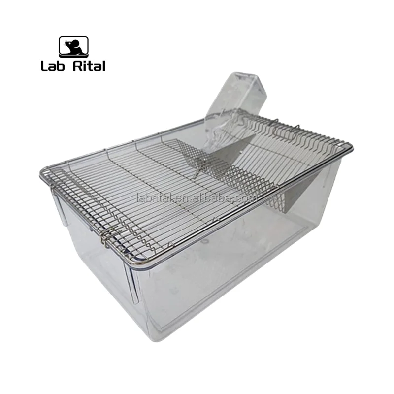 Labrital Transparent Mice & Rat Cage for Laboratory Breeding - OEM