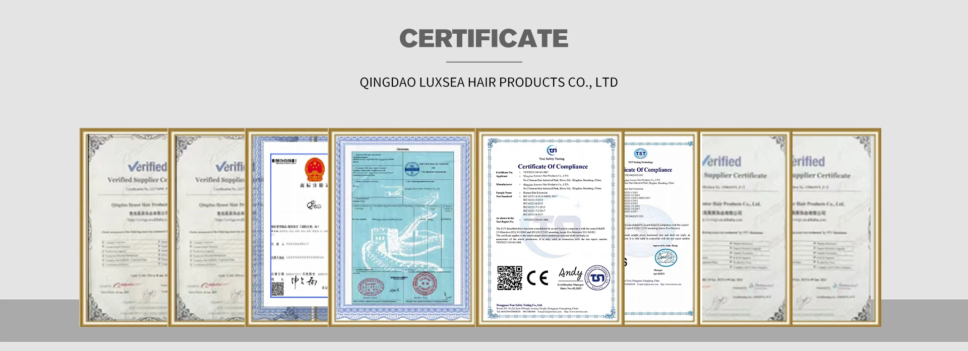 Company Overview - Shandong Longmai Carbon Dafeng Technology Co., Ltd.
