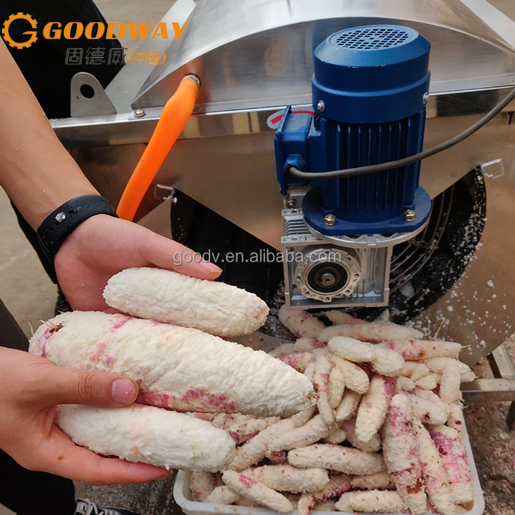 Automatic Cassava Flour Processing Plant - High Efficiency